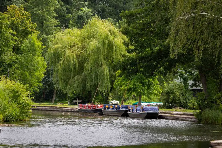 8 best things to do on a weekend getaway in the Bavarian Forest | our ...